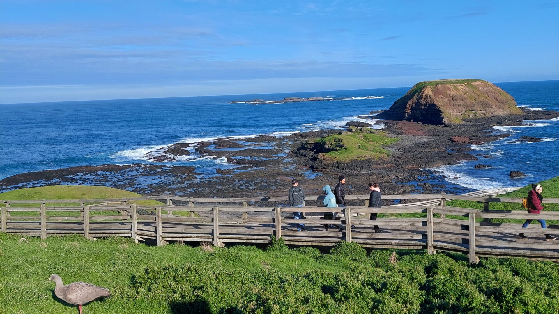 特別ホームステイ – Happy Aupair and Homestay Agency